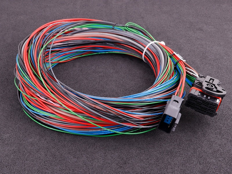 MaxxECU - V1/RACE/PRO Harness Connector 1 – SCHNELL ENGINEERING